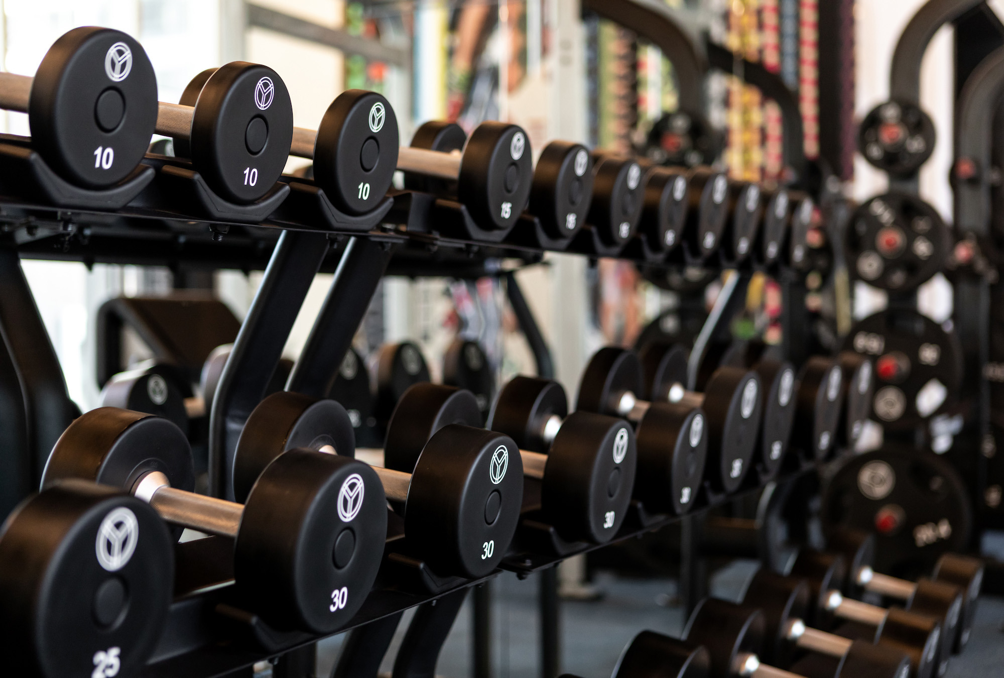 Wolf Point East | Gallery